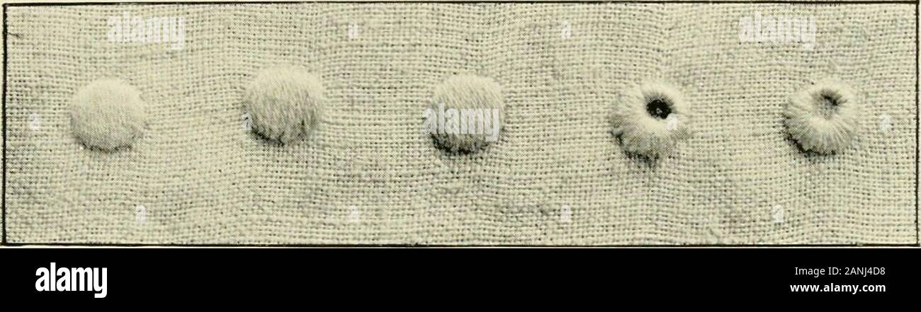 Embroidery padding stitch hi-res stock photography and images - Alamy