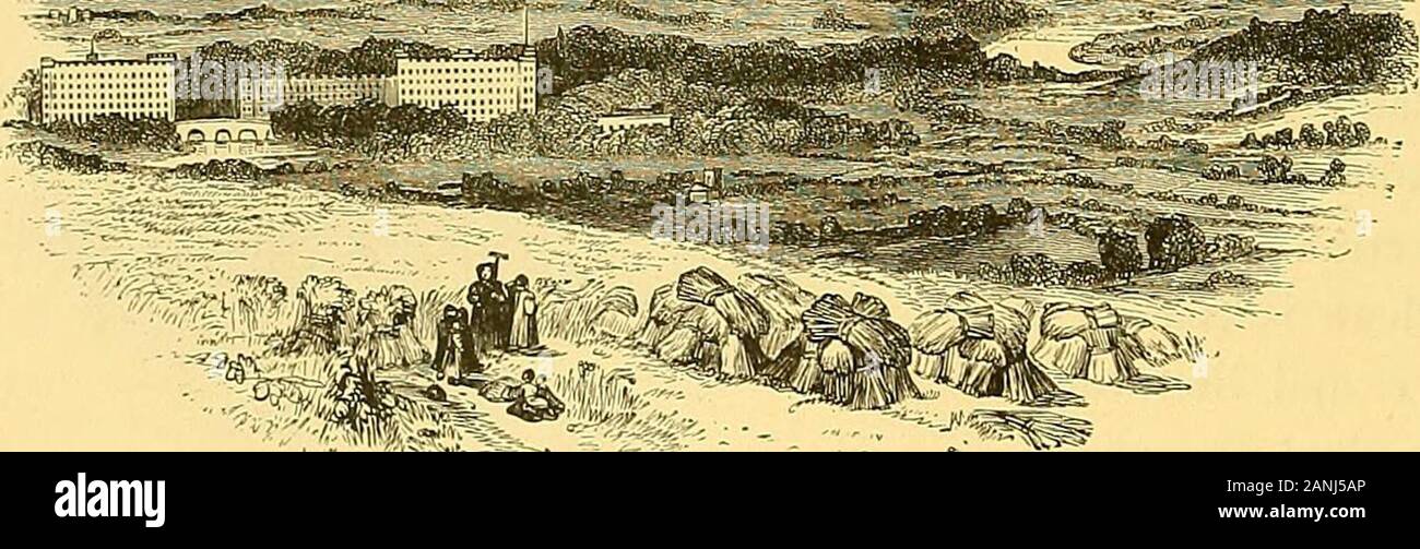 The towers asylum hi-res stock photography and images - Alamy