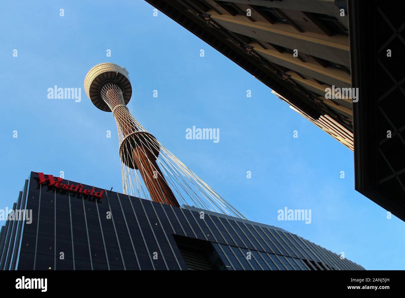 the sydney tower in sydney (australia Stock Photo - Alamy