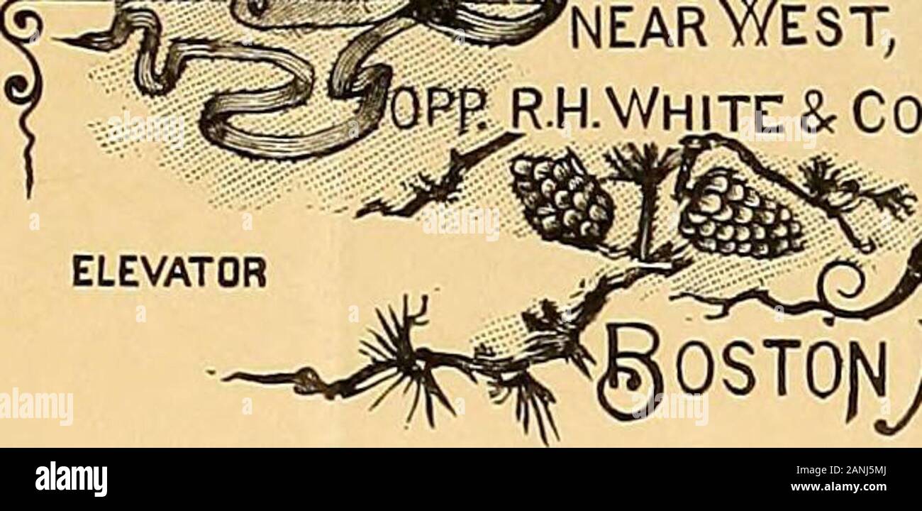 Papers, 1882-1901 (bulk 1883-1899) . •523 ,„^ ,. OSTOJ^^ASS. Highest ...