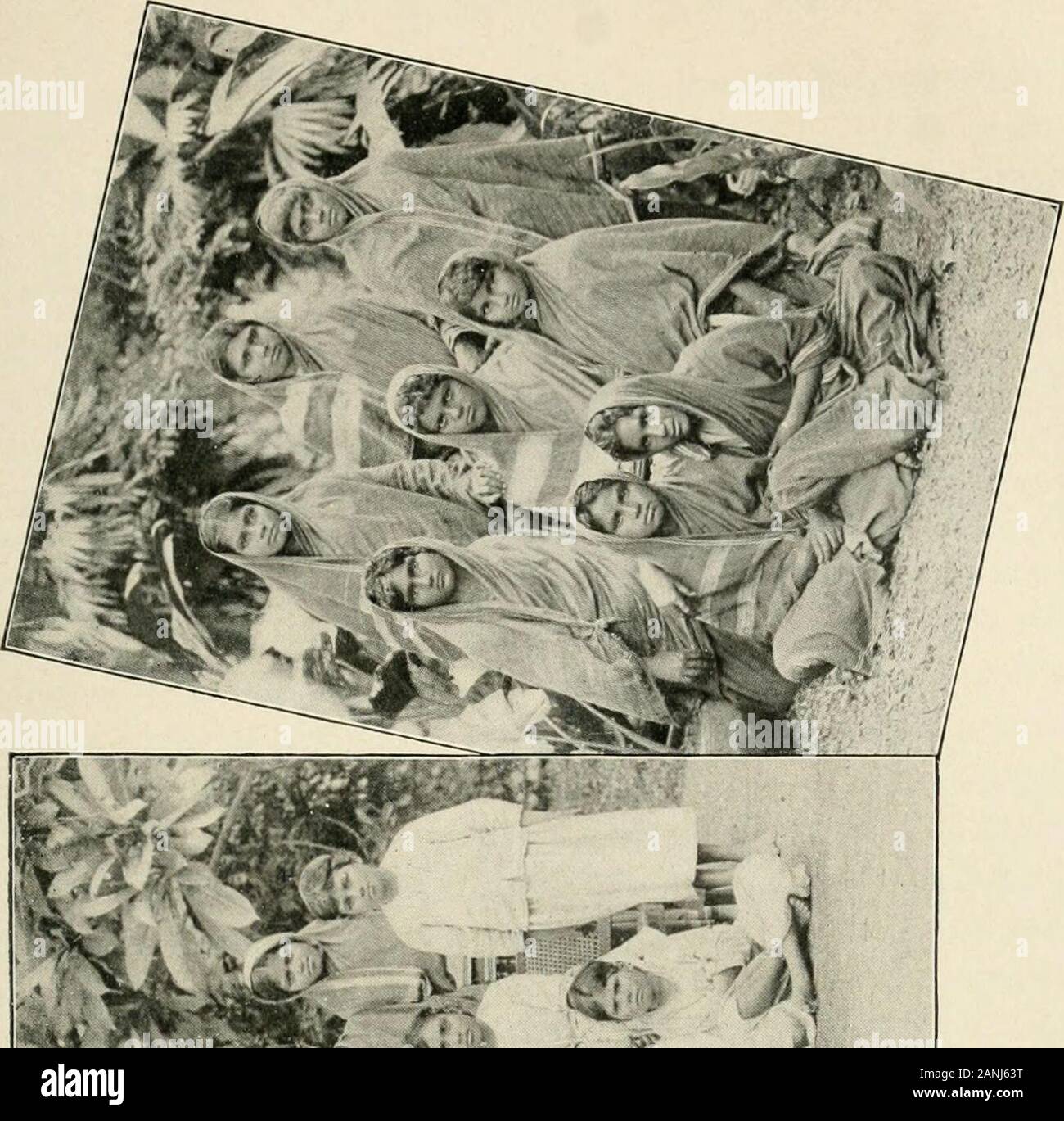 Disheve hi-res stock photography and images - Alamy