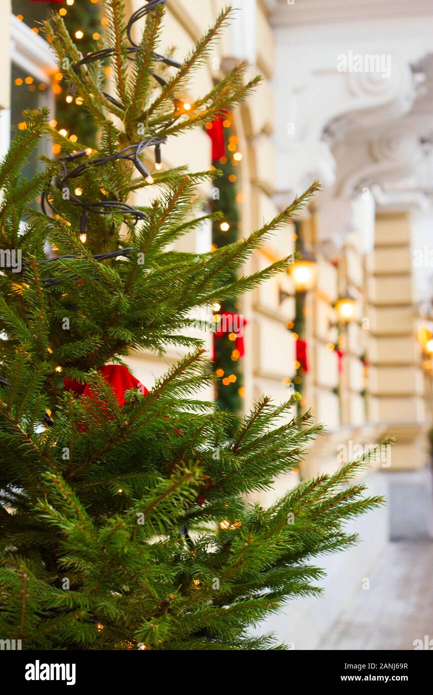 Christmas tree with lights next to the decorated facade of a beautiful ...