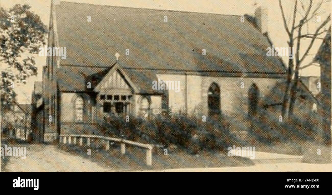 English Lutheranism in the Northwest / y George Henry Trabert . A tree ...