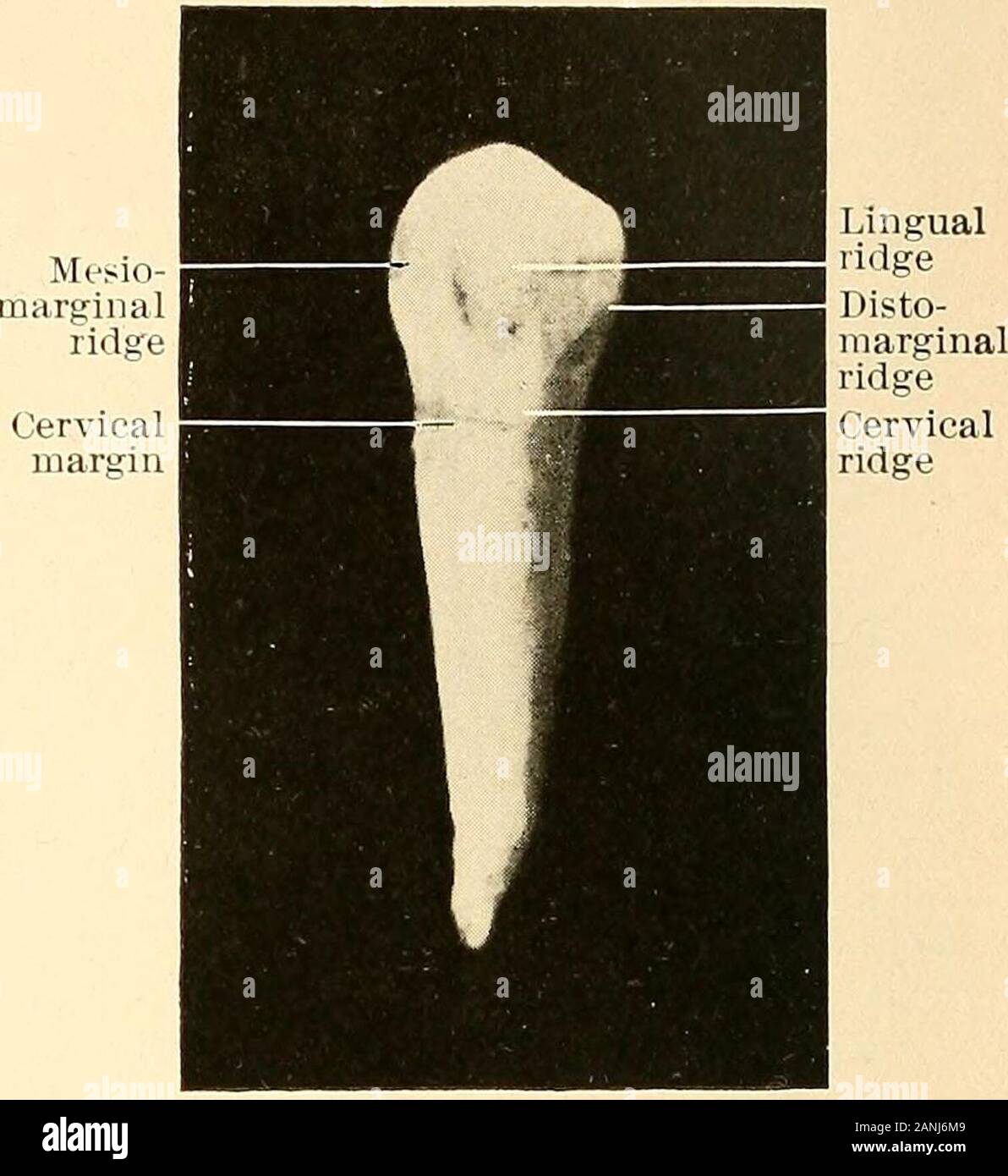 Disto hi-res stock photography and images - Alamy