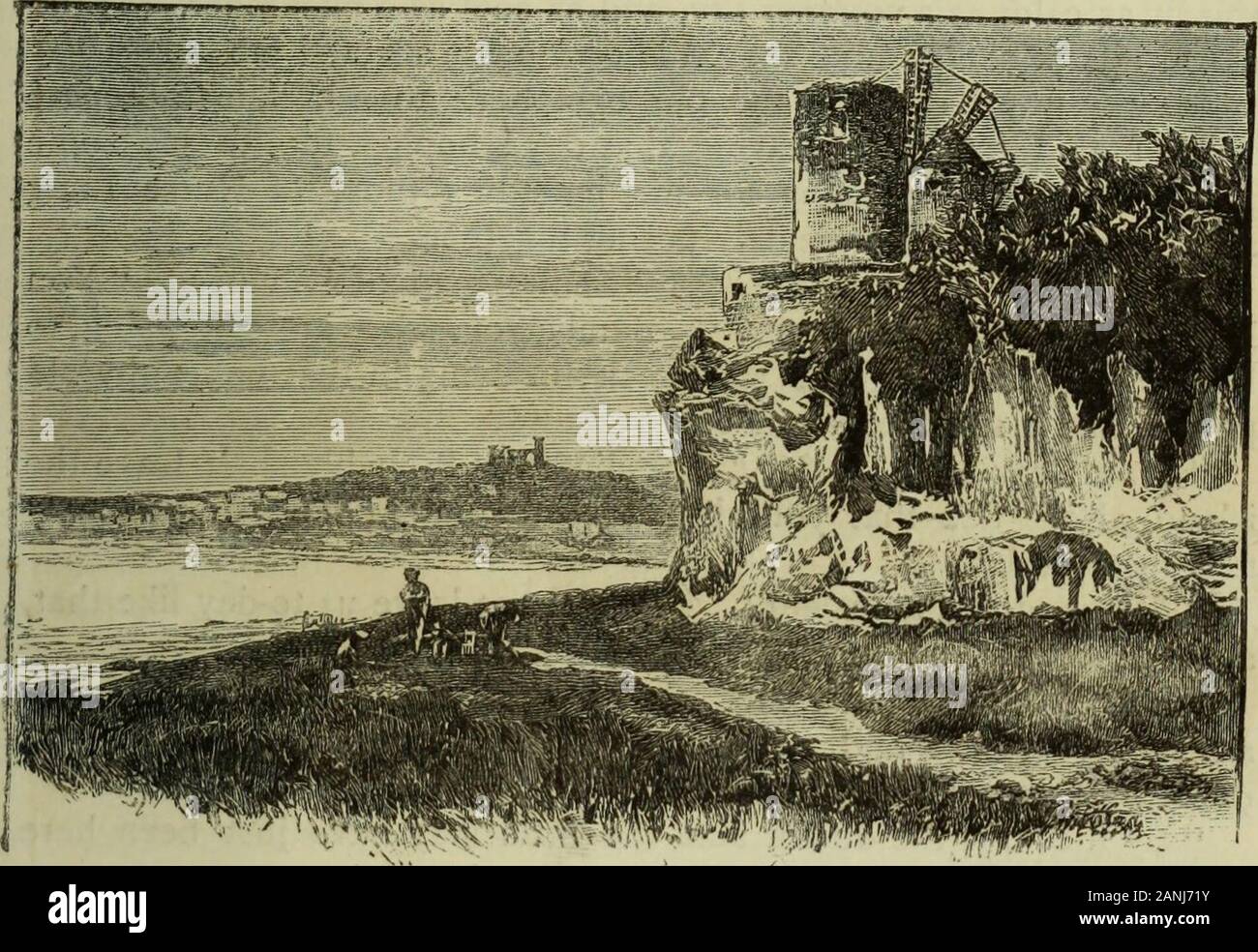 Shriek back hi-res stock photography and images - Alamy