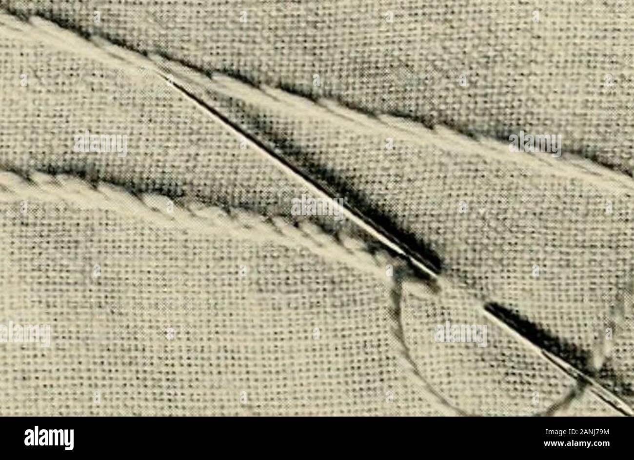 How to work embroidery stitches; a practical method with 69 ...