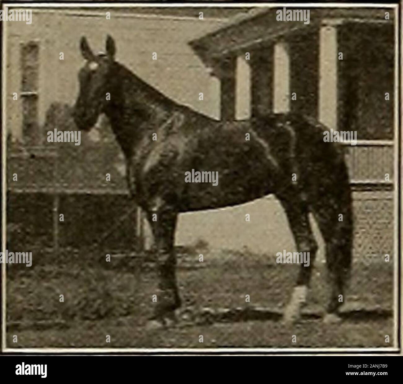 Osborne dam hi-res stock photography and images - Alamy