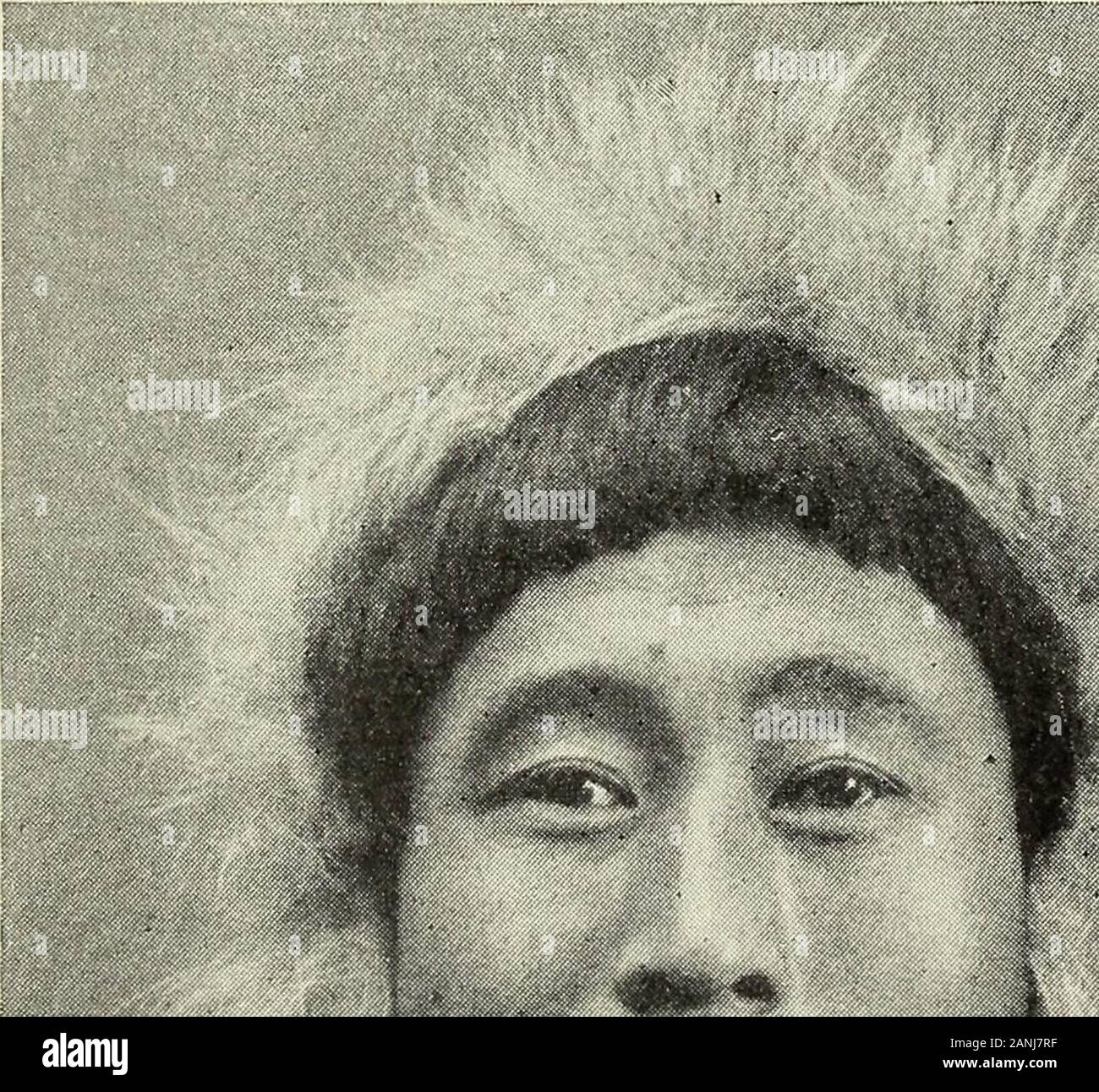 On the race history and facial characteristics of the aboriginal ...