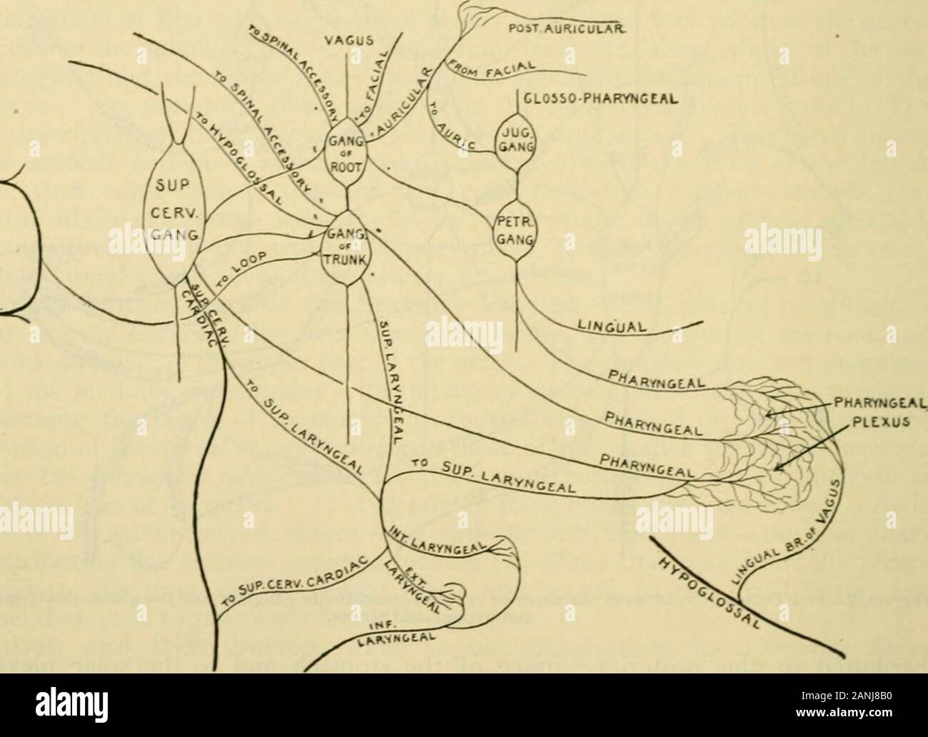 Human anatomy, including structure and development and practical ...
