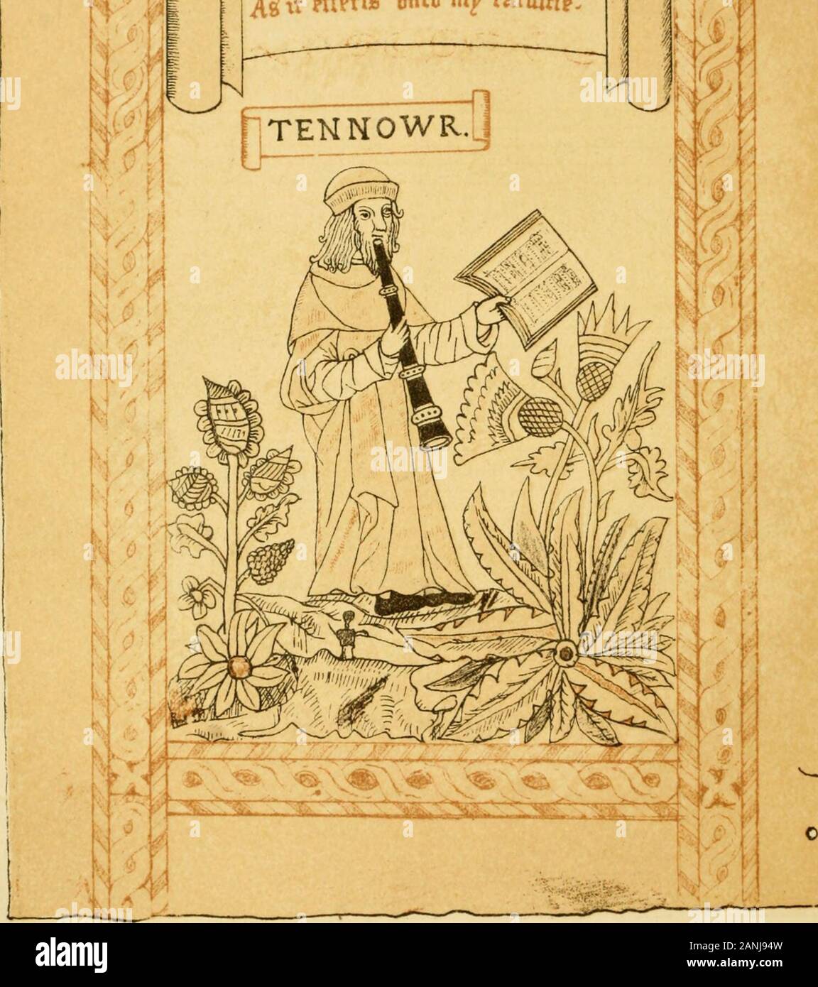 Scottish wood ant hi-res stock photography and images - Alamy