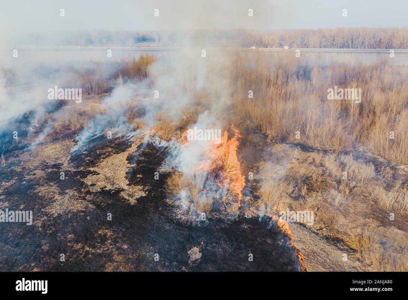 Forest fire aerial Stock Photo - Alamy
