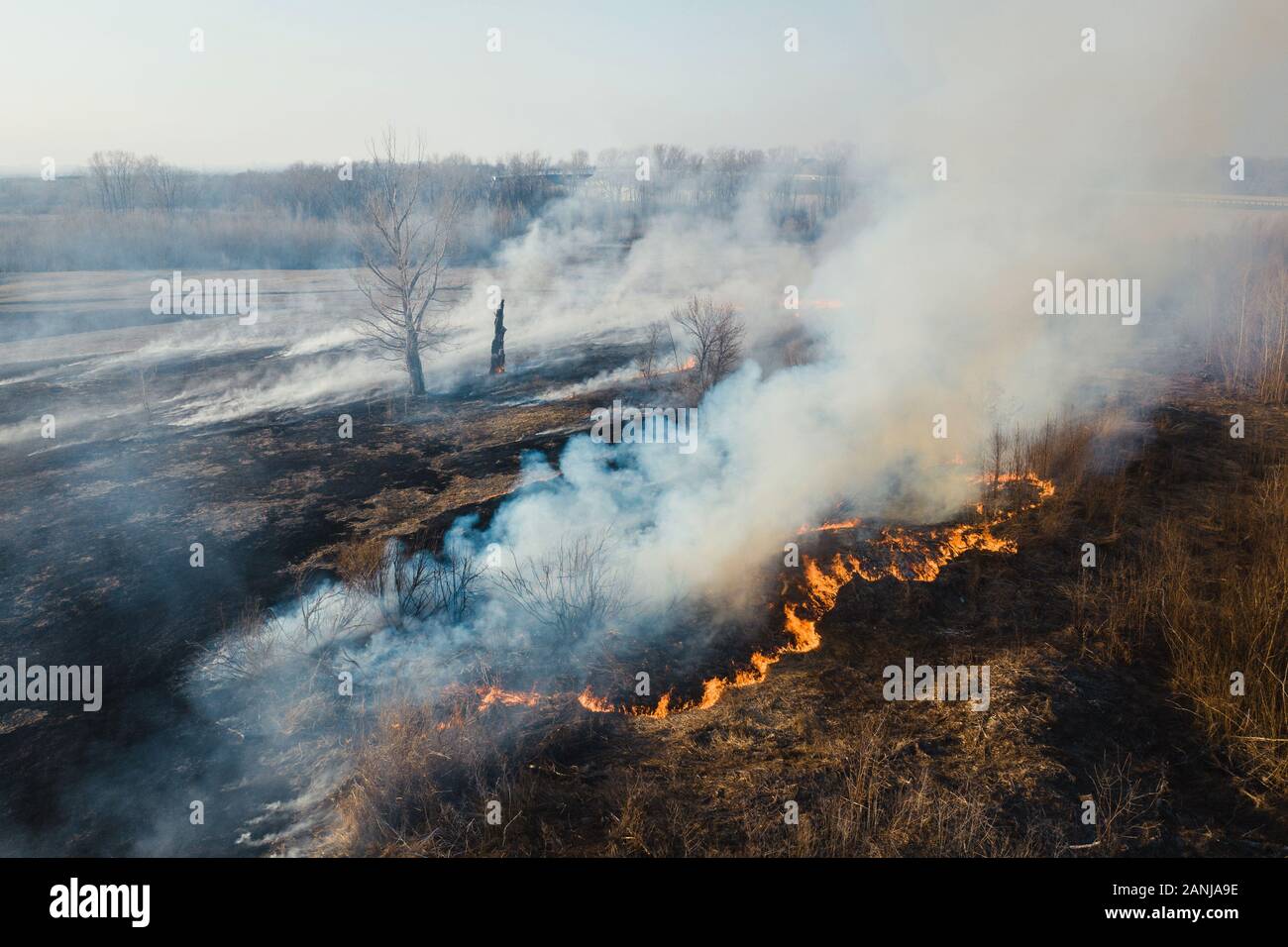 Wildfire wild fire burn hi-res stock photography and images - Alamy