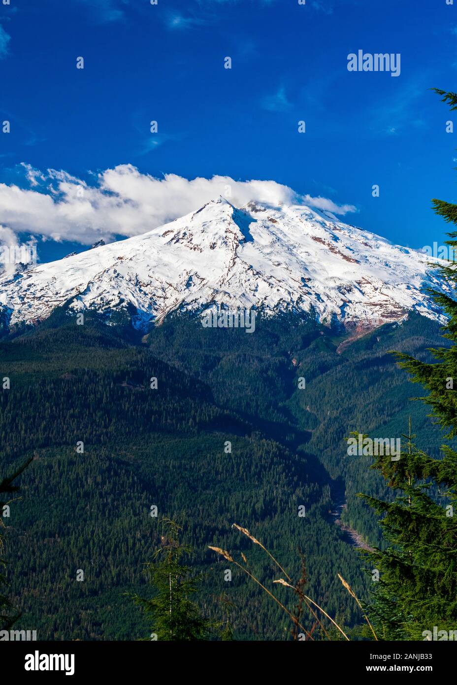 Snowcapped peak of mount baker hi-res stock photography and images - Alamy