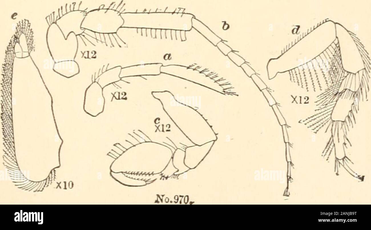 Enlarged male figure hi-res stock photography and images - Alamy