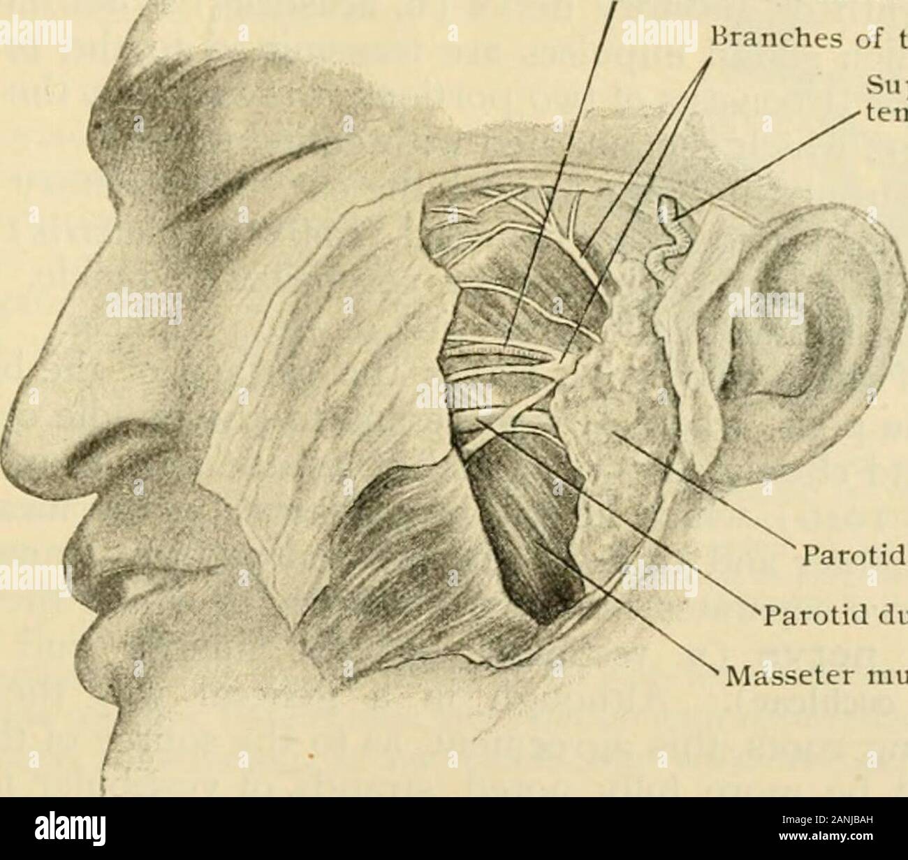 Motor fibres hi-res stock photography and images - Alamy