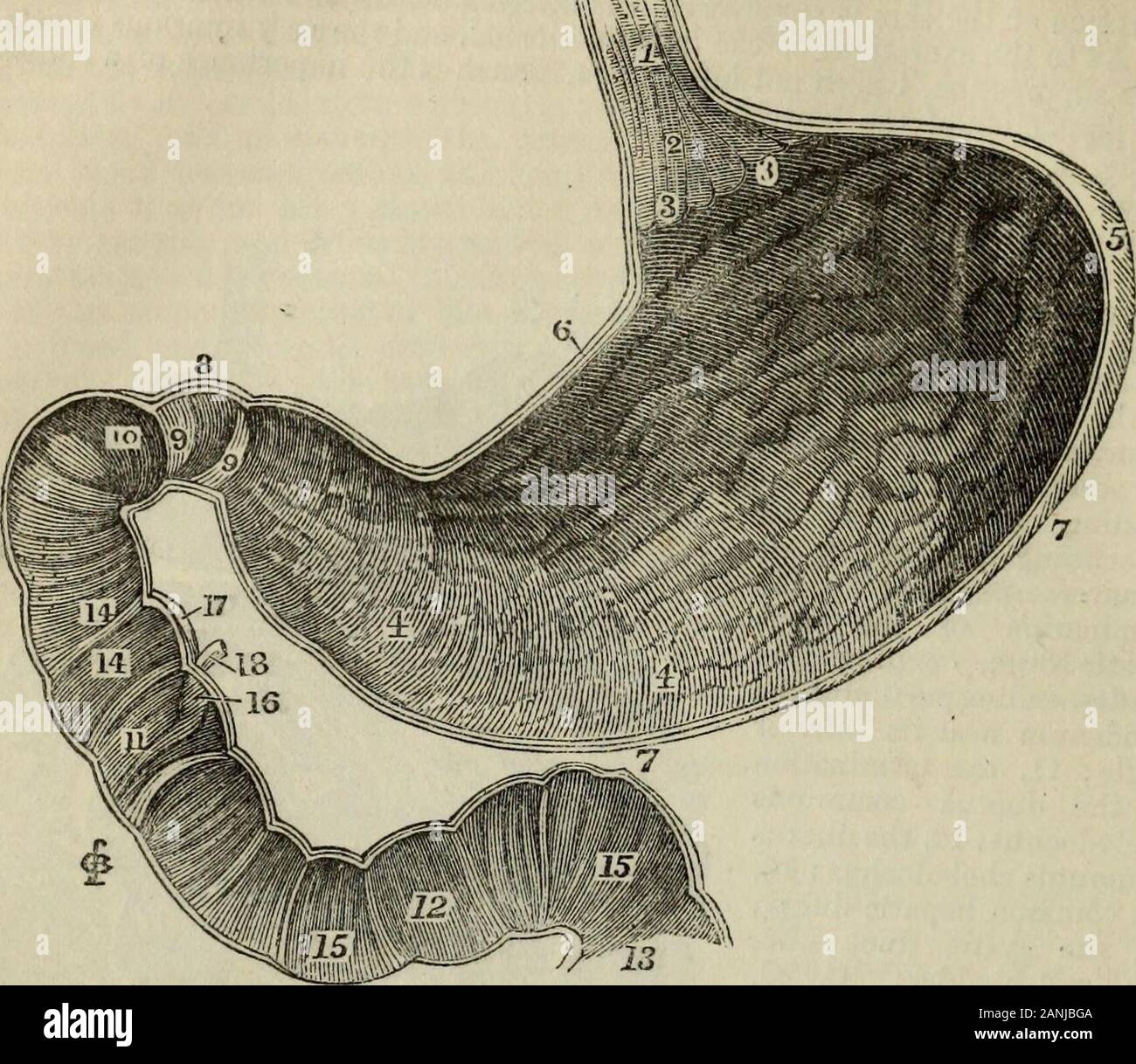 Practical hydropathy, including plans of baths and remarks on diet ...