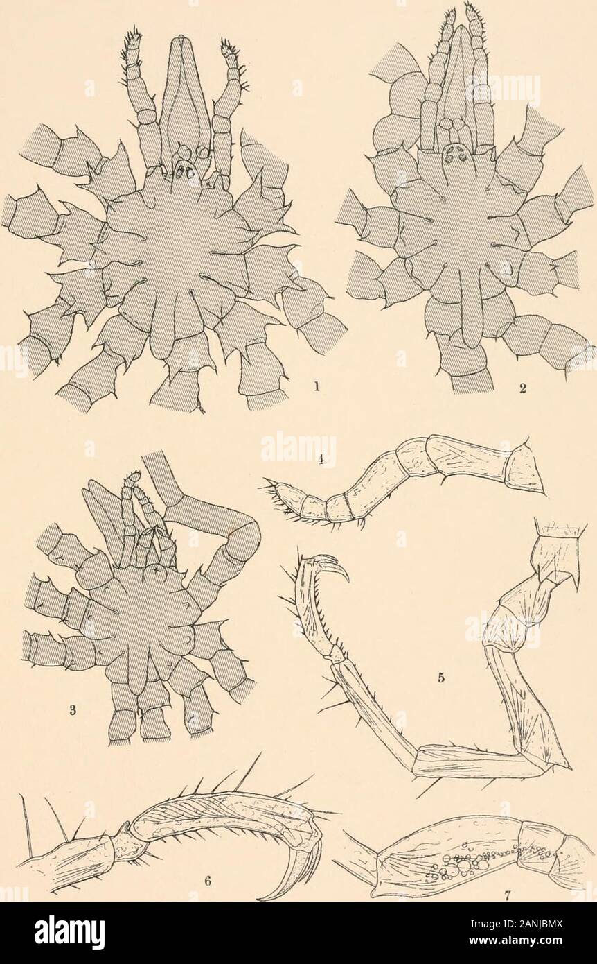 Sp agb hi-res stock photography and images - Alamy