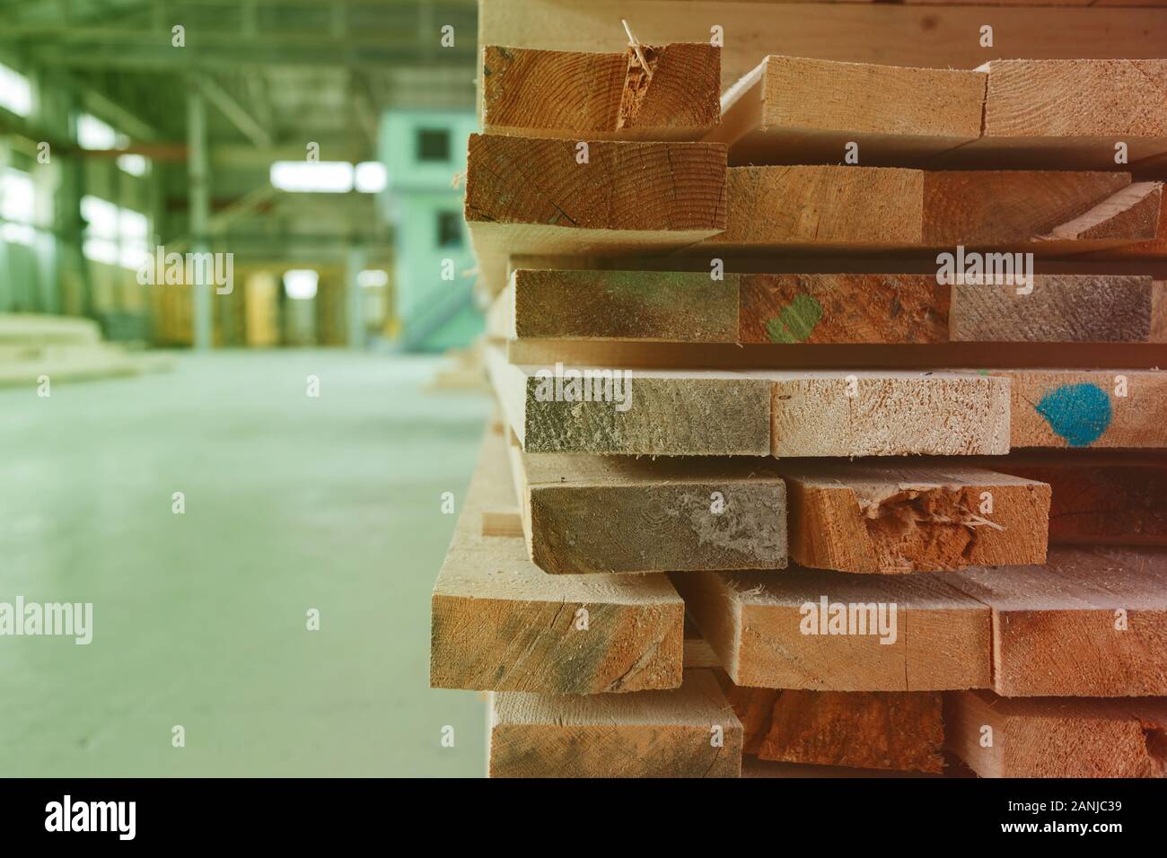 Warehouse or factory for sawing boards on sawmill indoors. Wood timber ...