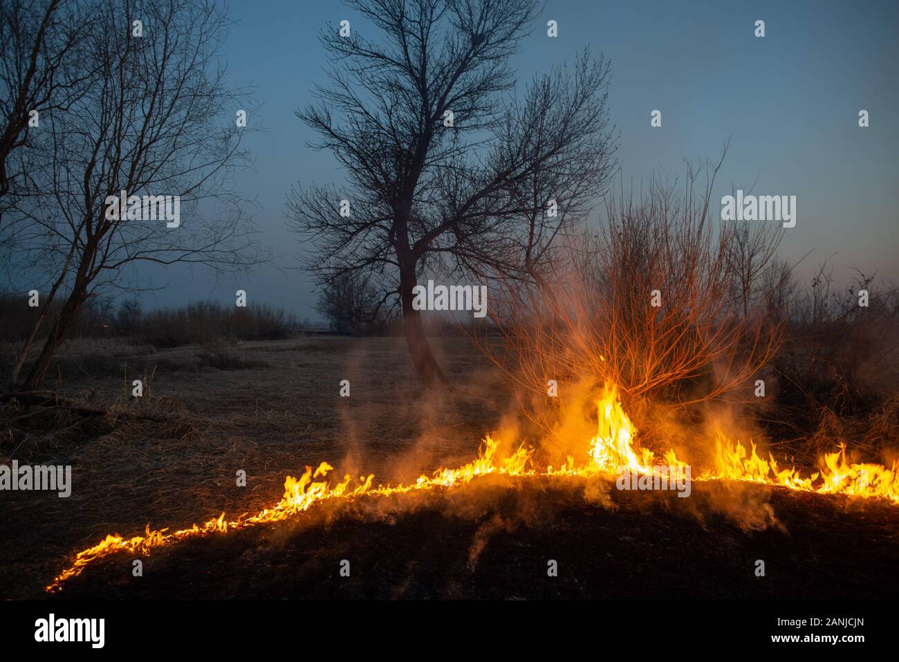 Field fire night Stock Photo - Alamy