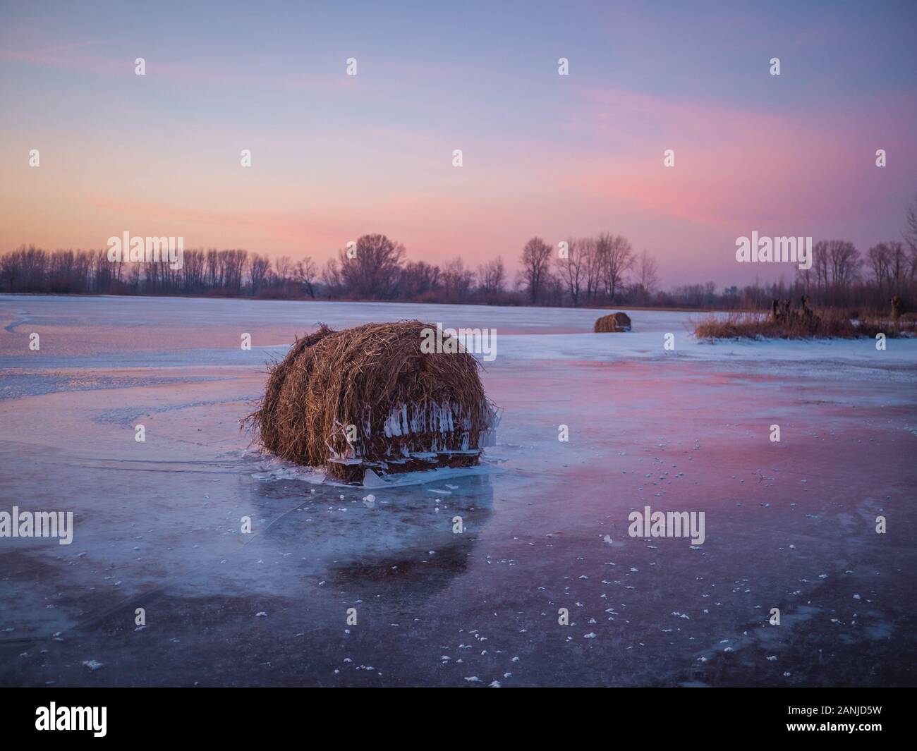 Winter hay bale Stock Photo - Alamy