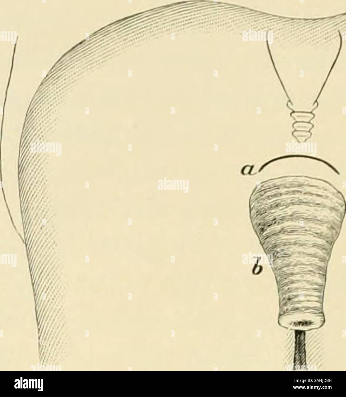 Operative surgery . much more secure. The Results.—In a patient to whom ...