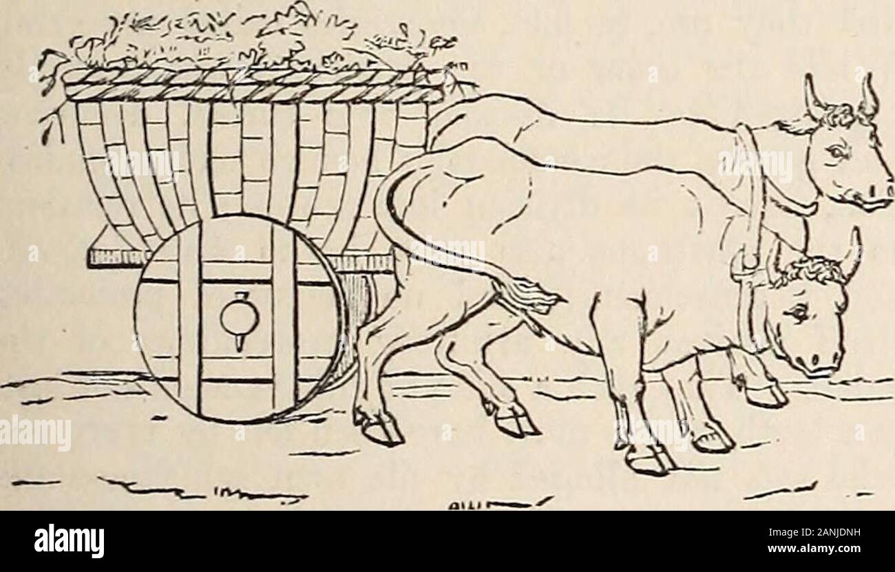 Plaustrum hi-res stock photography and images - Alamy