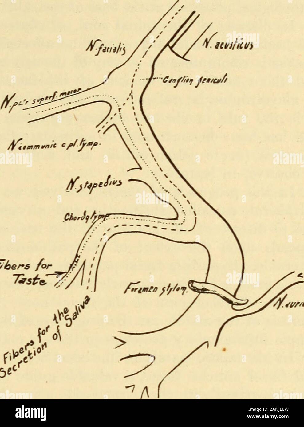 Supranuclear paralysis hi-res stock photography and images - Alamy
