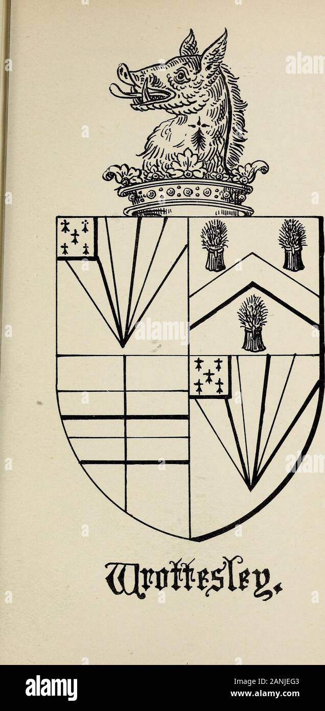 Ms 13 arm hi-res stock photography and images - Alamy