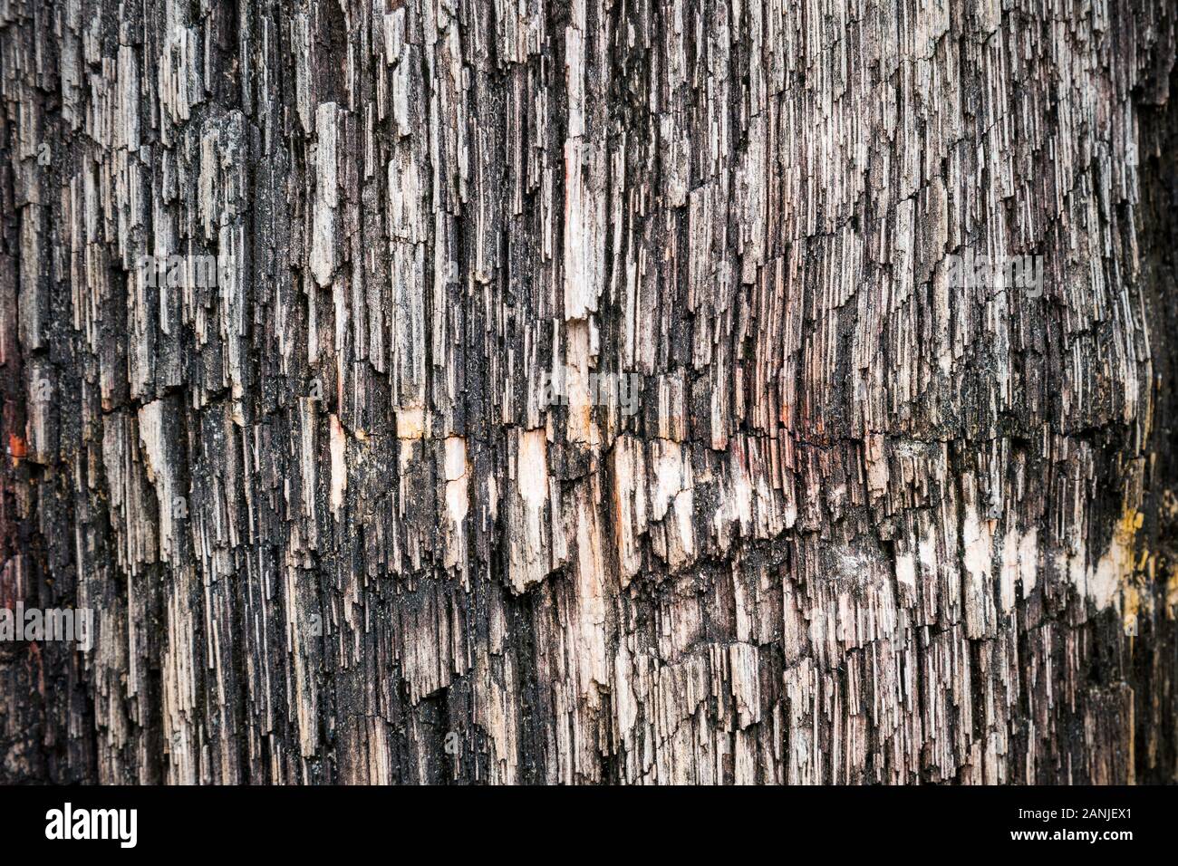 Strong structure hi-res stock photography and images - Alamy