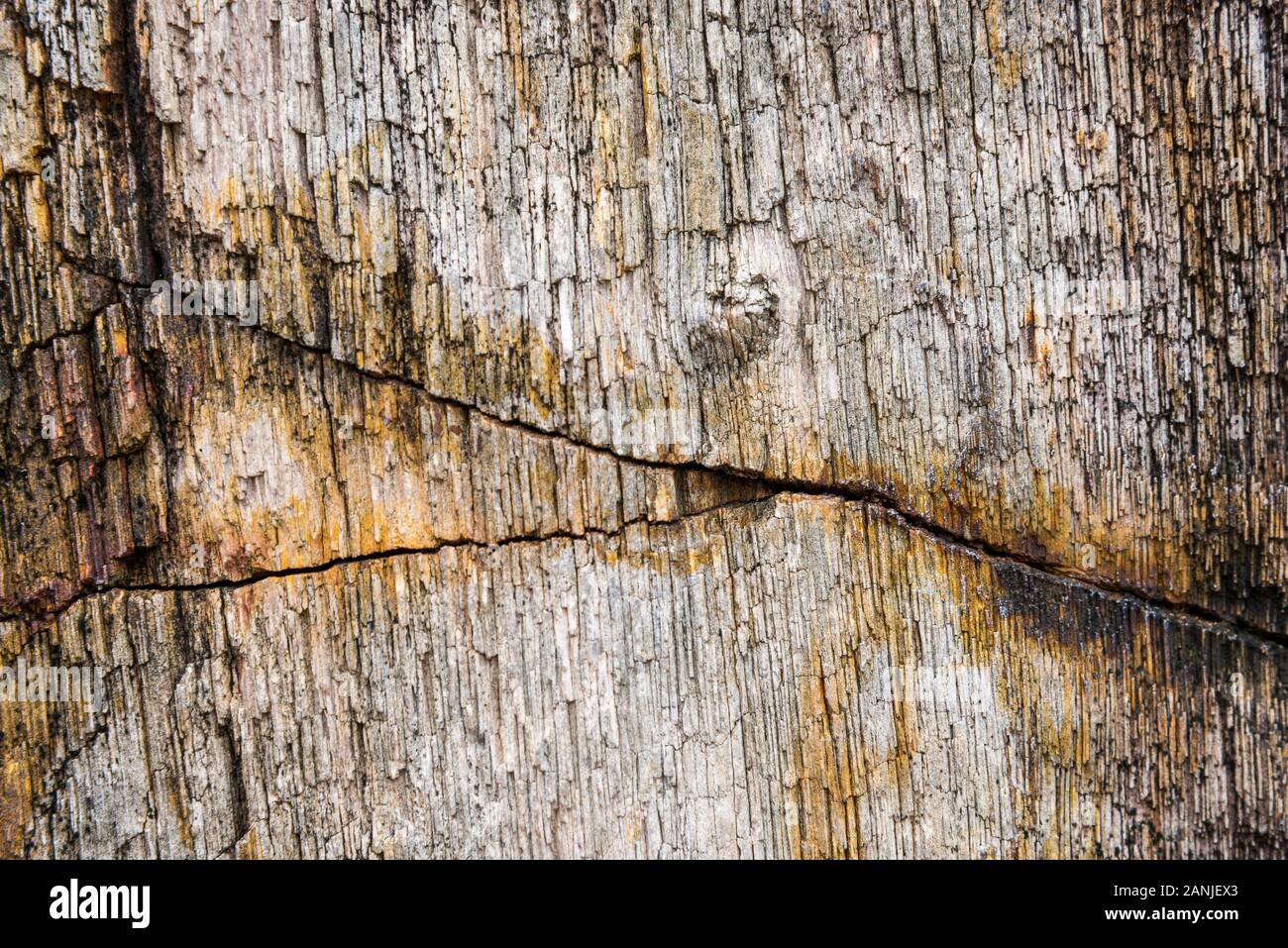 Bark stone pattern hi-res stock photography and images - Alamy