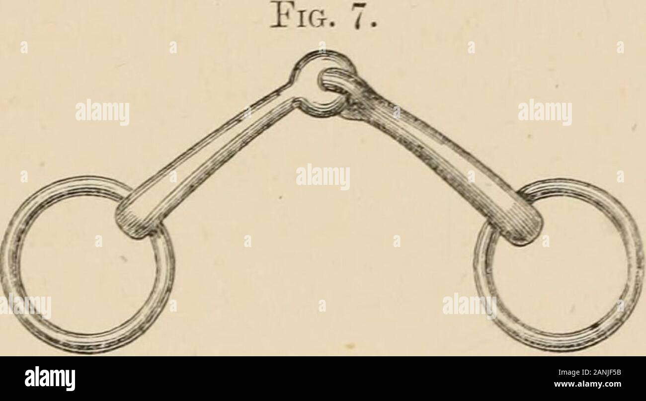 Double sets of reins hi-res stock photography and images - Alamy