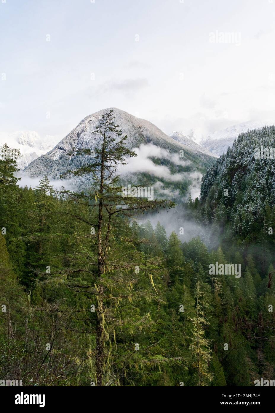 Early Season Snow in The North Cascades, Washington State Stock Photo ...