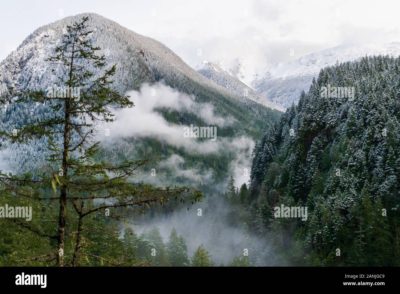 Early Season Snow in The North Cascades, Washington State Stock Photo ...