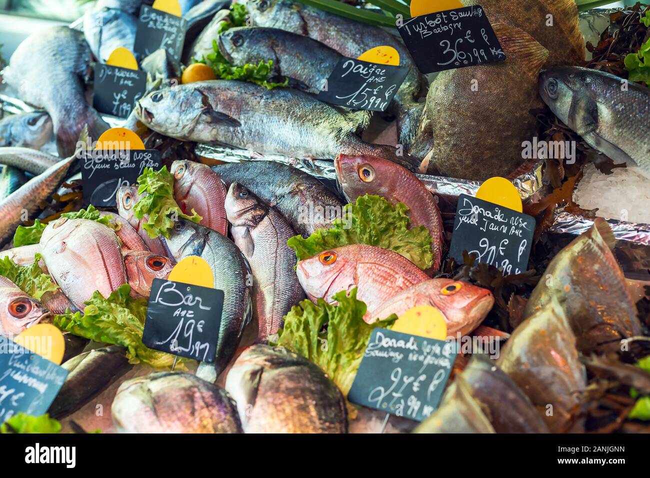 Many different types of fresh raw fish at the fish market with price ...