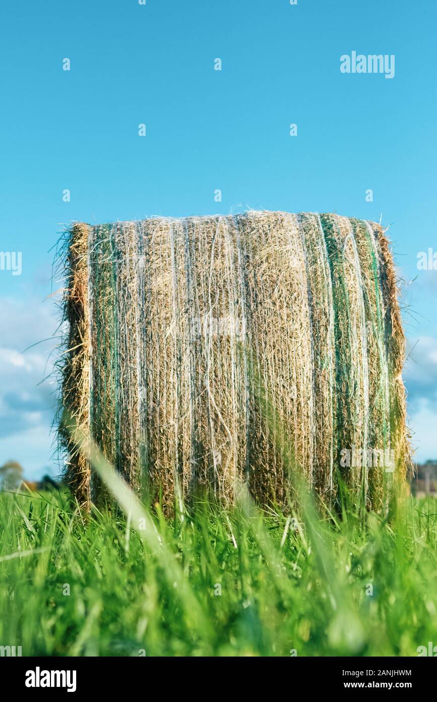 Unique view of one hay bale taken from low angle and featuring ...