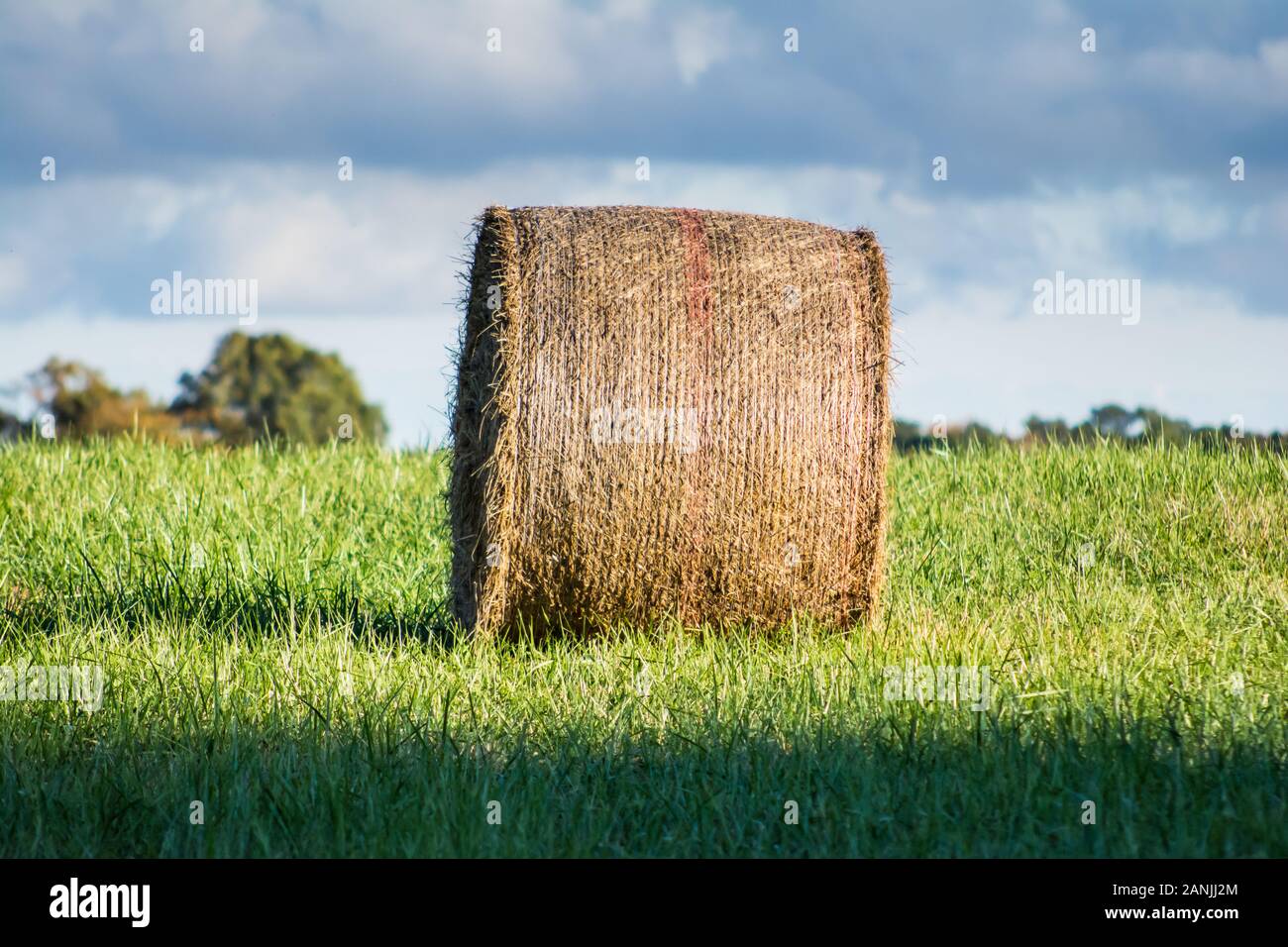 Bale shadow hi-res stock photography and images - Alamy