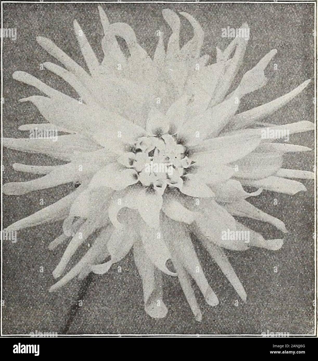 Ivanhoe leuchtfeuer hi-res stock photography and images - Alamy