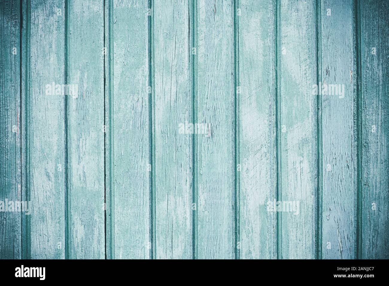 Light colored timber fence with peeling paint. Shabby decrepit wooden ...