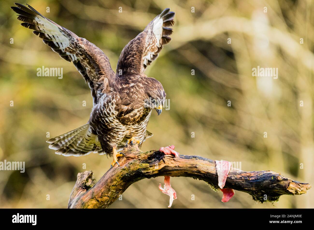Scraps of land hi-res stock photography and images - Alamy