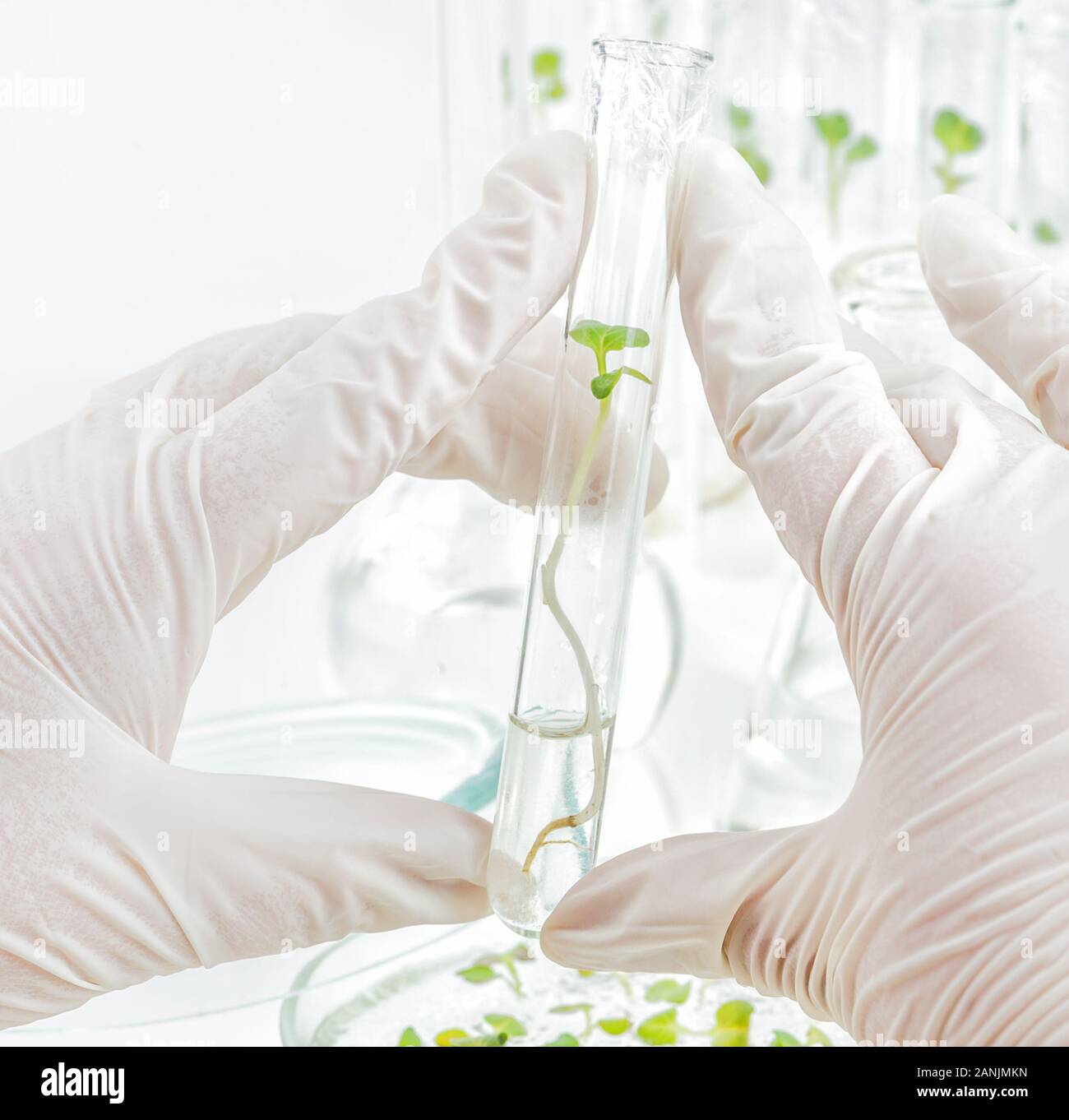 Biological material hi-res stock photography and images - Alamy