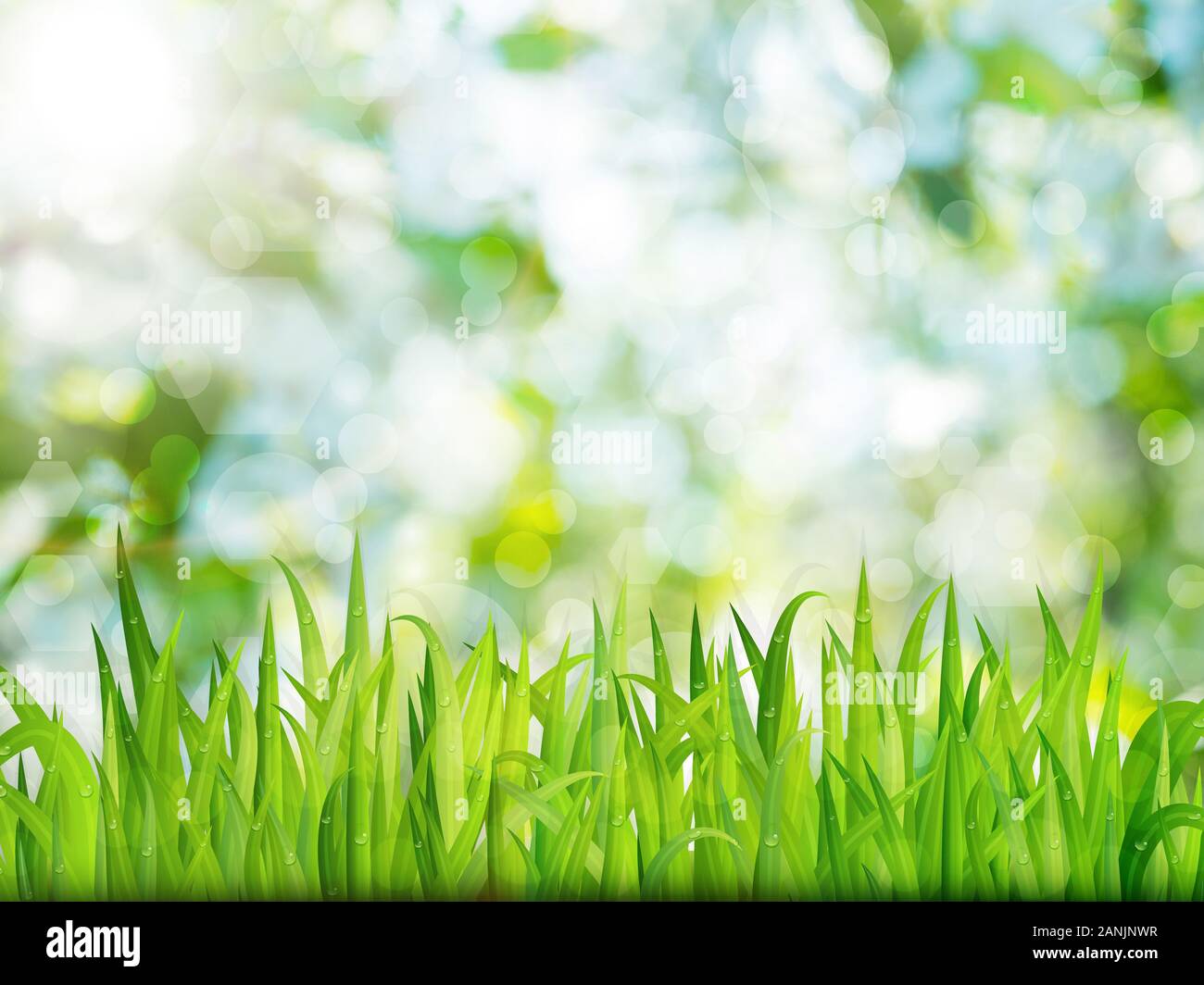Green nature background with grass Stock Photo - Alamy
