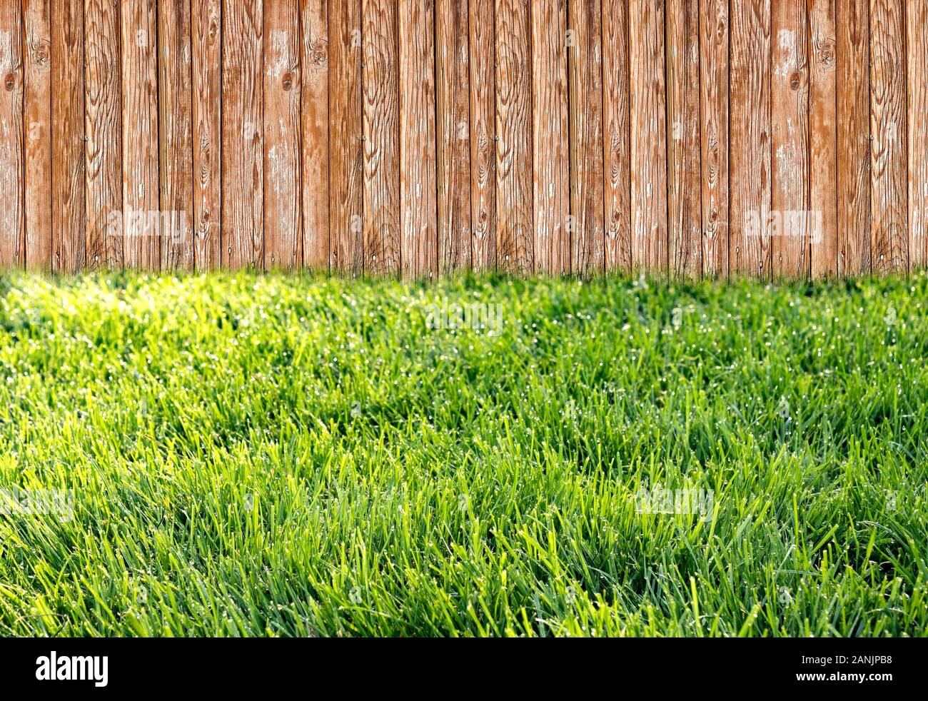 Wooden garden fence at backyard with green grass Stock Photo - Alamy
