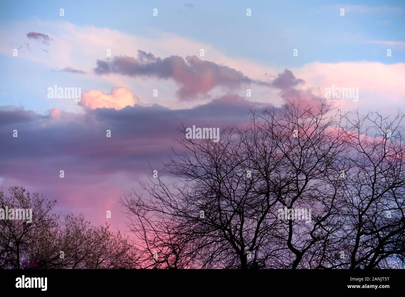 Storm clouds and setting sun colors the sky behind winter tree branches ...