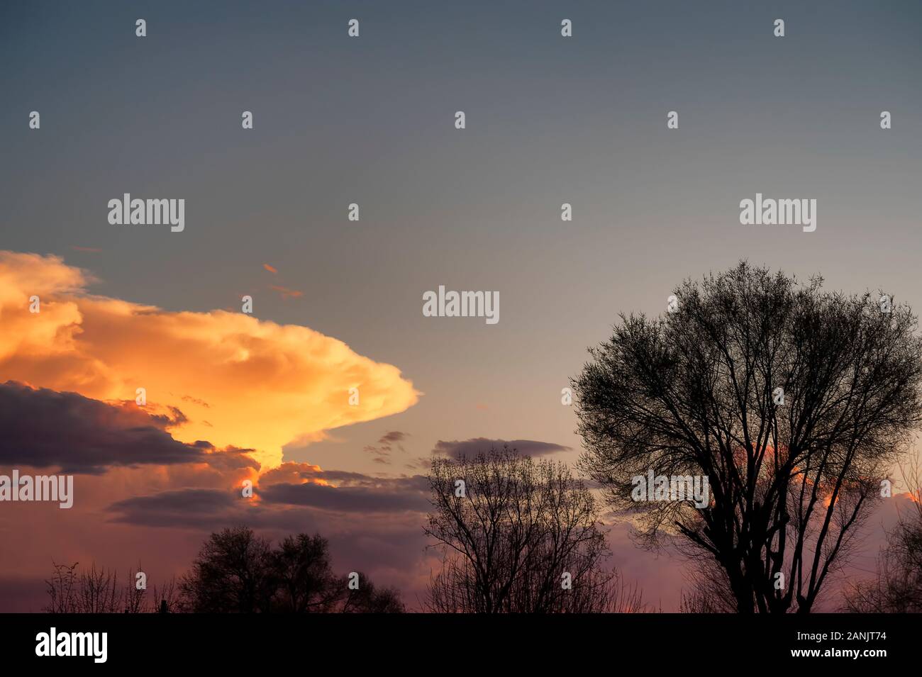 Setting sun behind branches hi-res stock photography and images - Alamy