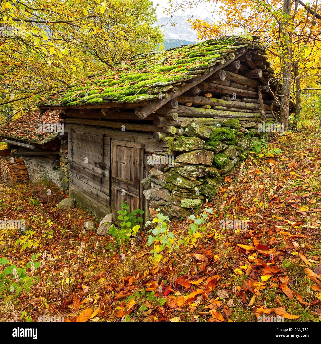 Log cabin in autumn hi-res stock photography and images - Alamy