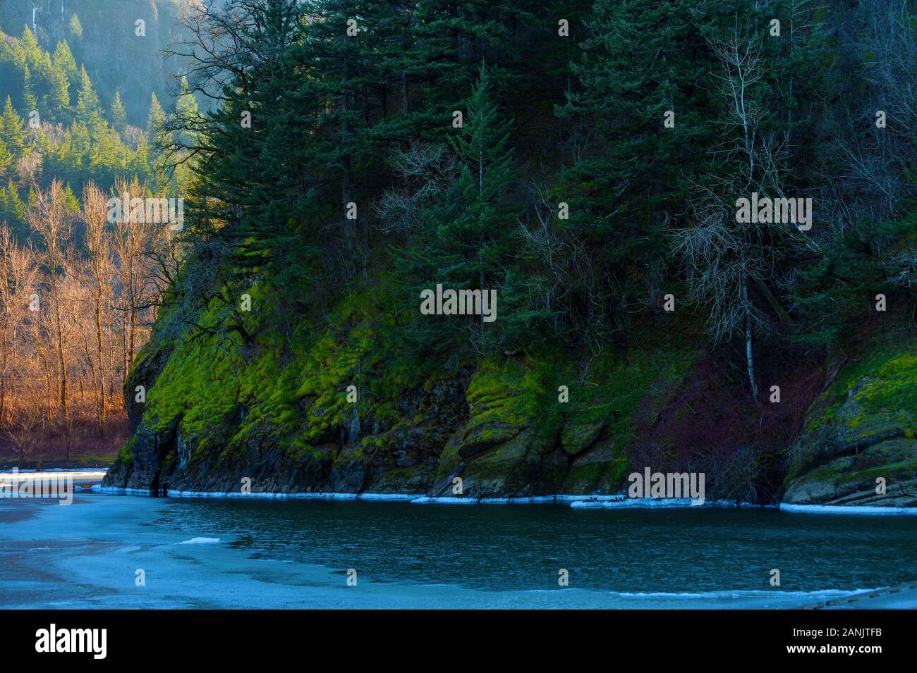 Base of Rooster Rock State Park in the Columbia River Gorge on a high ...