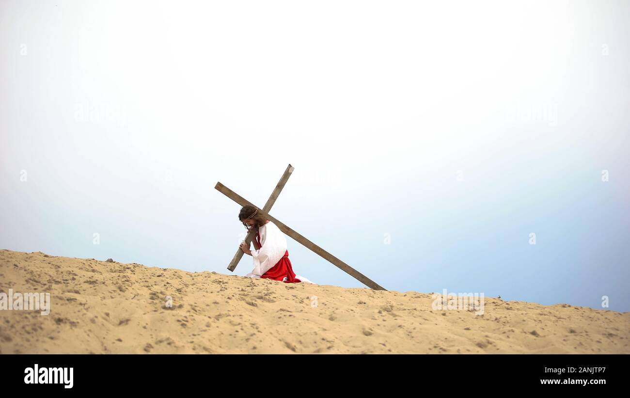 Jesus falling under heavy wooden cross, suffering pain and exhaustion ...