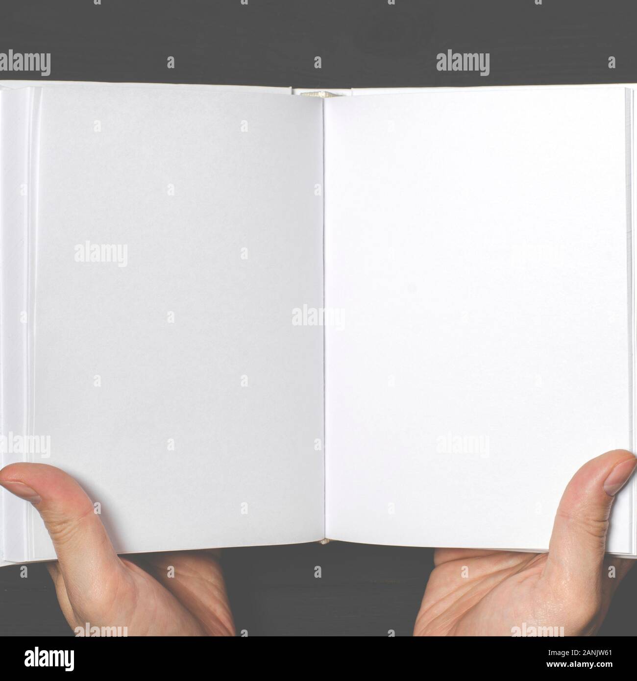 Men's hands hold a white book with clean pages Stock Photo - Alamy