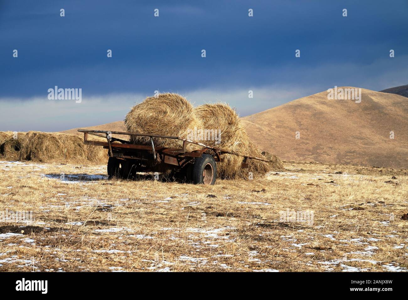 Haytime hi-res stock photography and images - Alamy