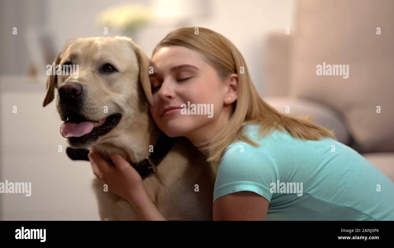 Young female hugging adorable labrador dog, housepet, best friend ...